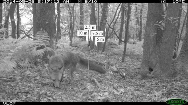 A simple method for estimating the effective detection distance of ...