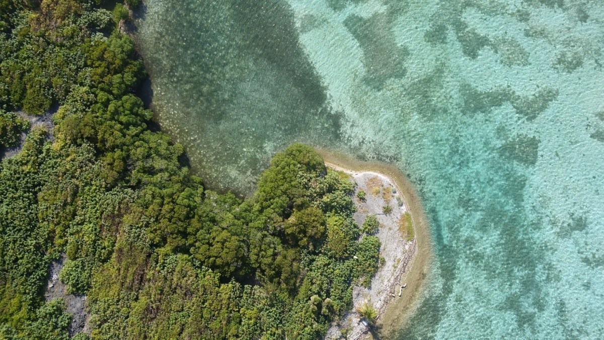 Using a fixed-wing, water-landing UAV to classify tropical marine ...